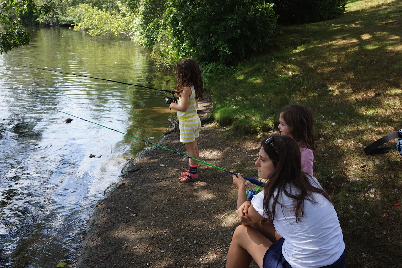 Slater Memorial Park: Fishing, Swan Boats, Carousel, Playground – The ...